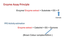 Enzyme lab class | PPT