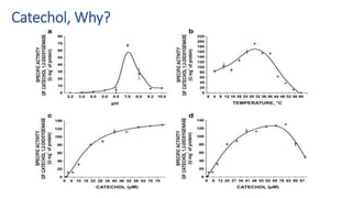 Enzyme lab class | PPT