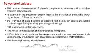 Enzyme lab class | PPT
