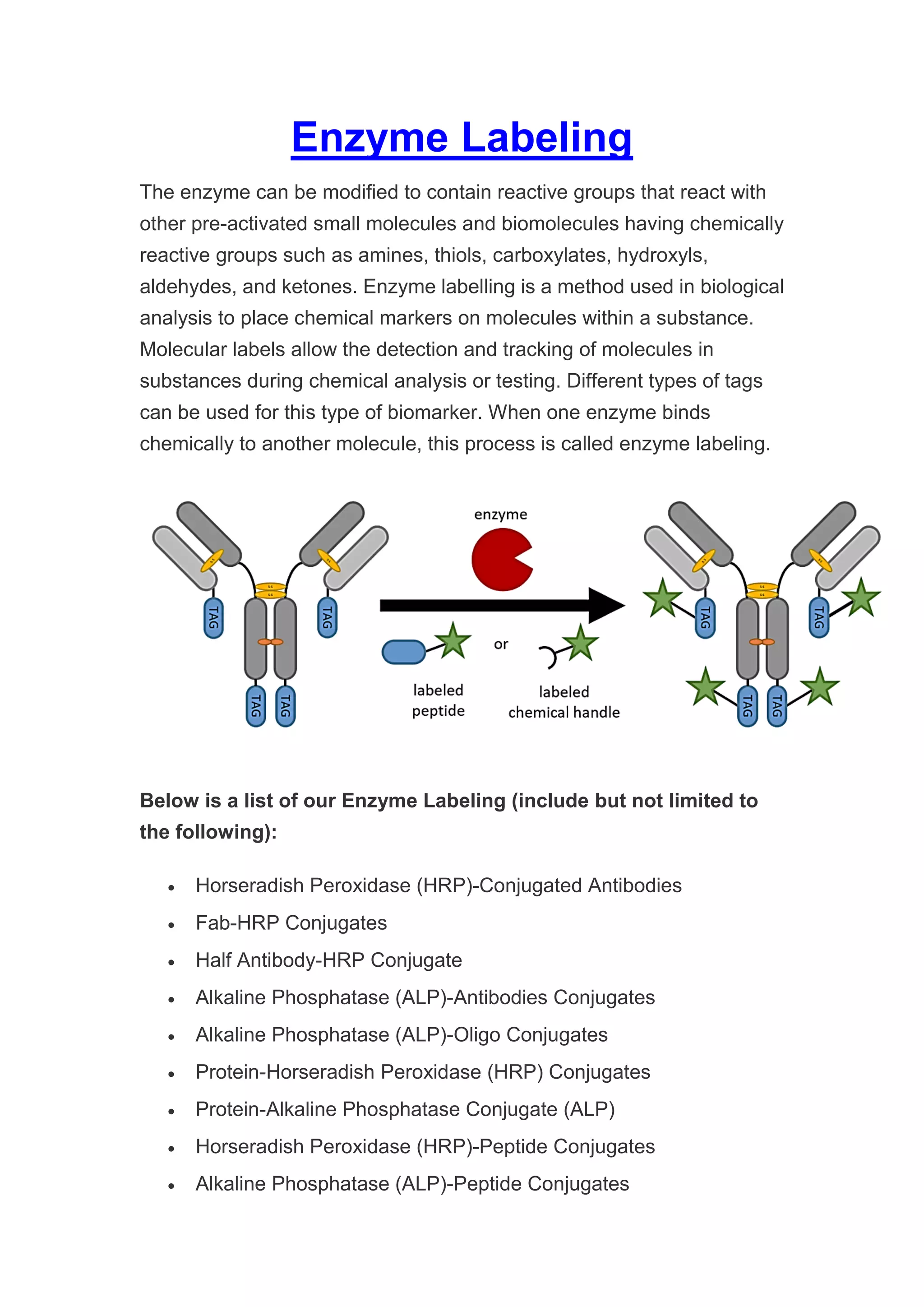 Enzyme labeling | PDF