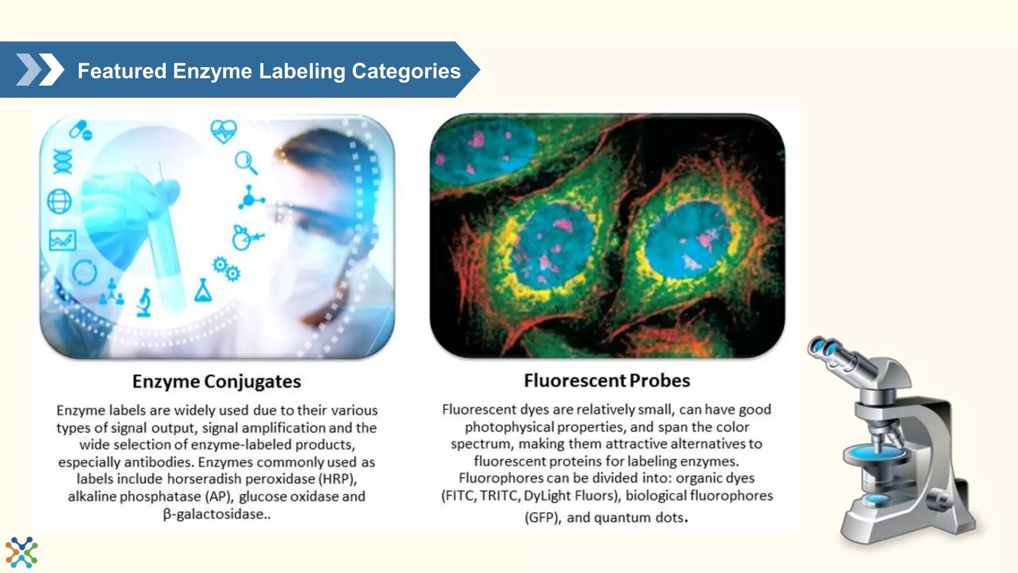 Enzyme labelling | PPTX