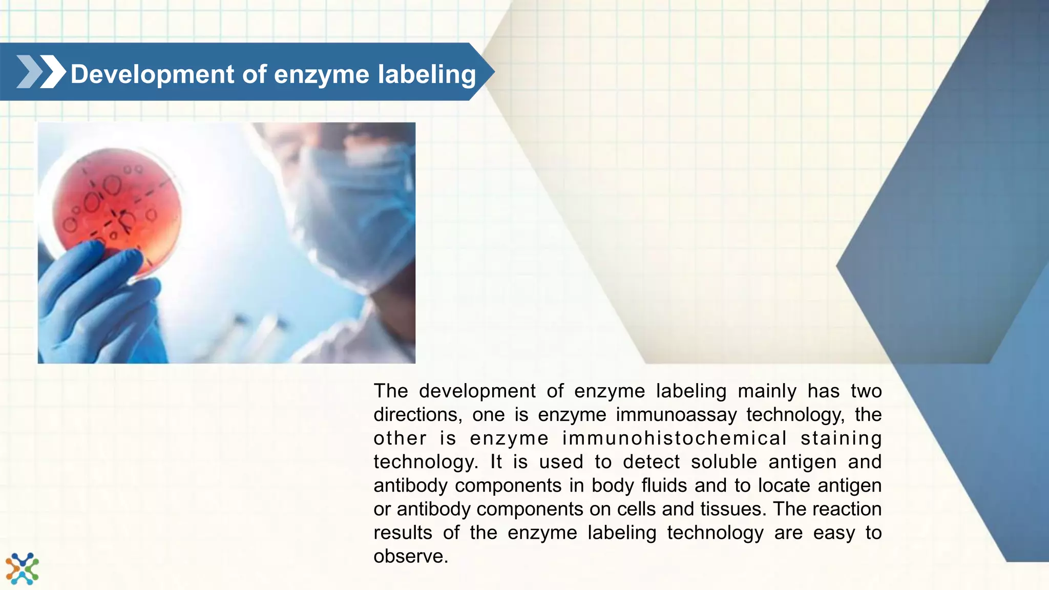 Enzyme labelling | PPTX | Chemistry | Science