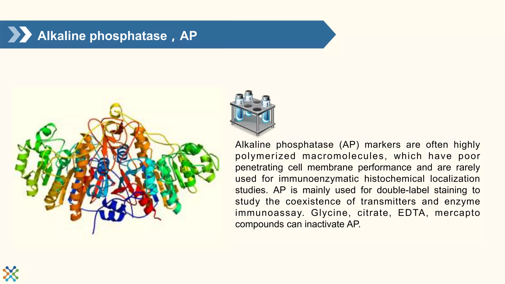 Enzyme labelling | PPTX | Chemistry | Science