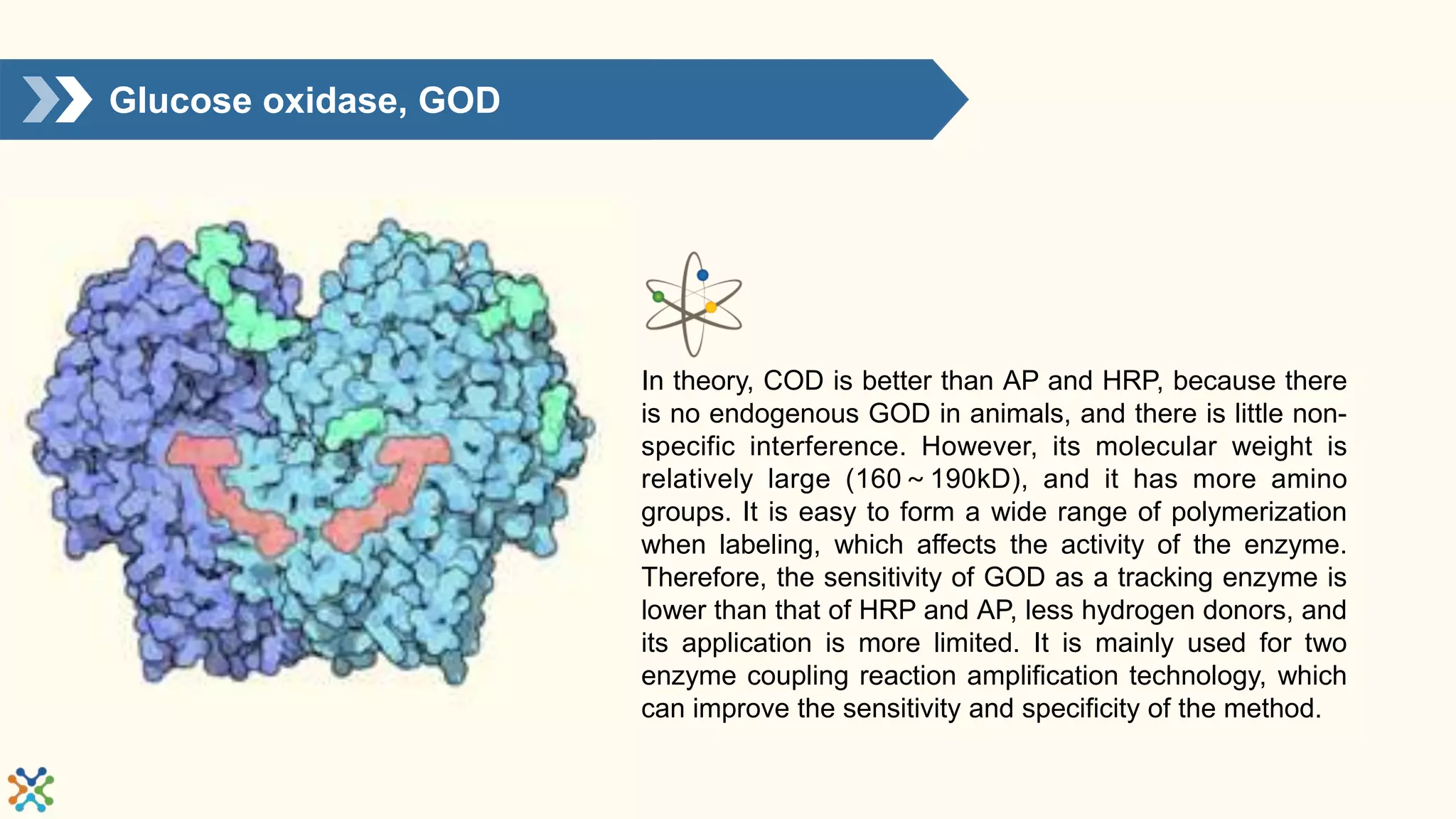 Enzyme labelling | PPTX | Chemistry | Science