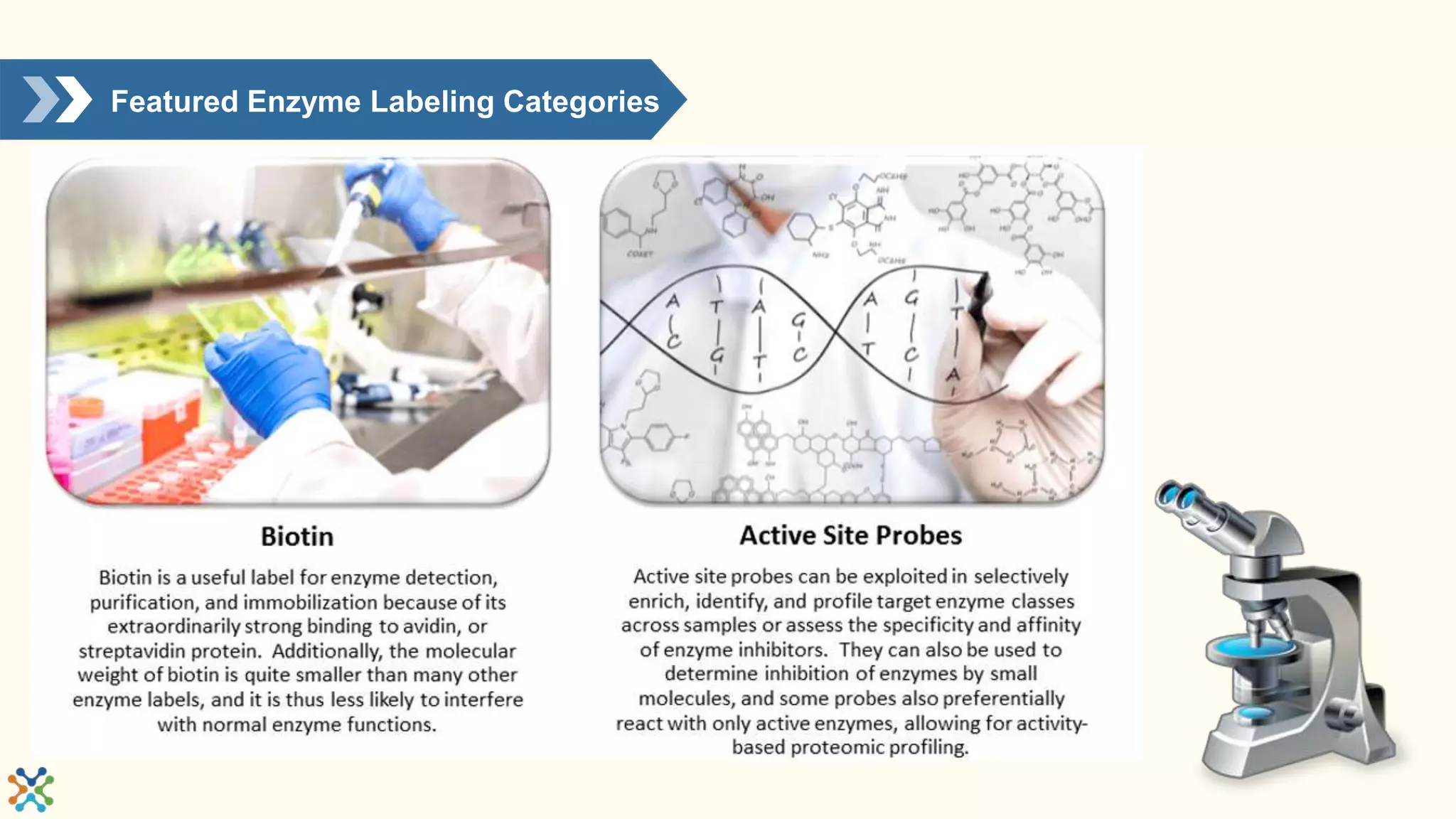 Enzyme labelling | PPTX | Chemistry | Science