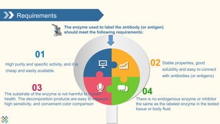 Enzyme labelling | PPTX | Chemistry | Science