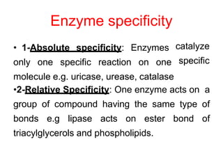 enzyme lecture ppt.pptx