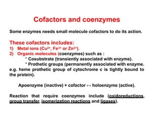 enzyme lecture ppt.pptx
