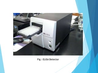 Enzyme linked immuno sorbent assay (elisa) | PPTX | Chemistry | Science