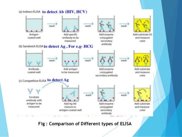 Enzyme linked immuno sorbent assay (elisa)
