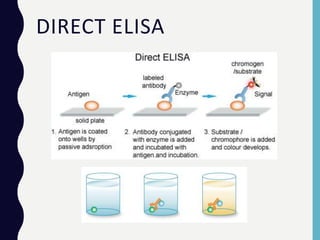Enzyme linked immunosorbent assay | PPTX