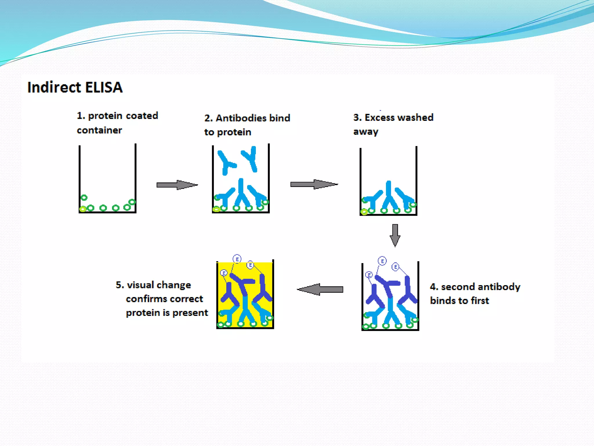 Enzyme linked immunosorbent assay (elisa) | PPTX