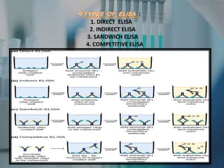 ENZYME LINKED IMMUNOSORBENT ASSAY (ELISA) .pptx