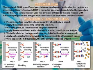 ENZYME LINKED IMMUNOSORBENT ASSAY (ELISA) .pptx | Allergies | Diseases ...