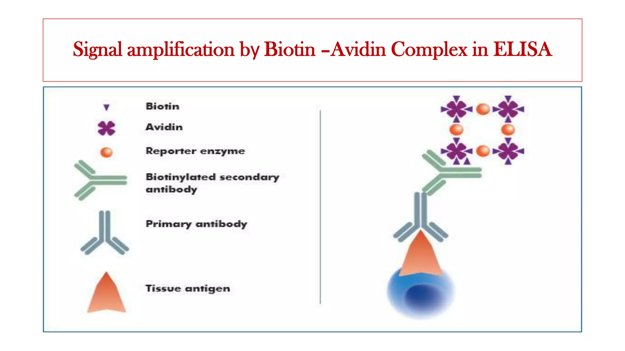 Enzyme linked immunosorbent assay (elisa) and its clinical significance ...