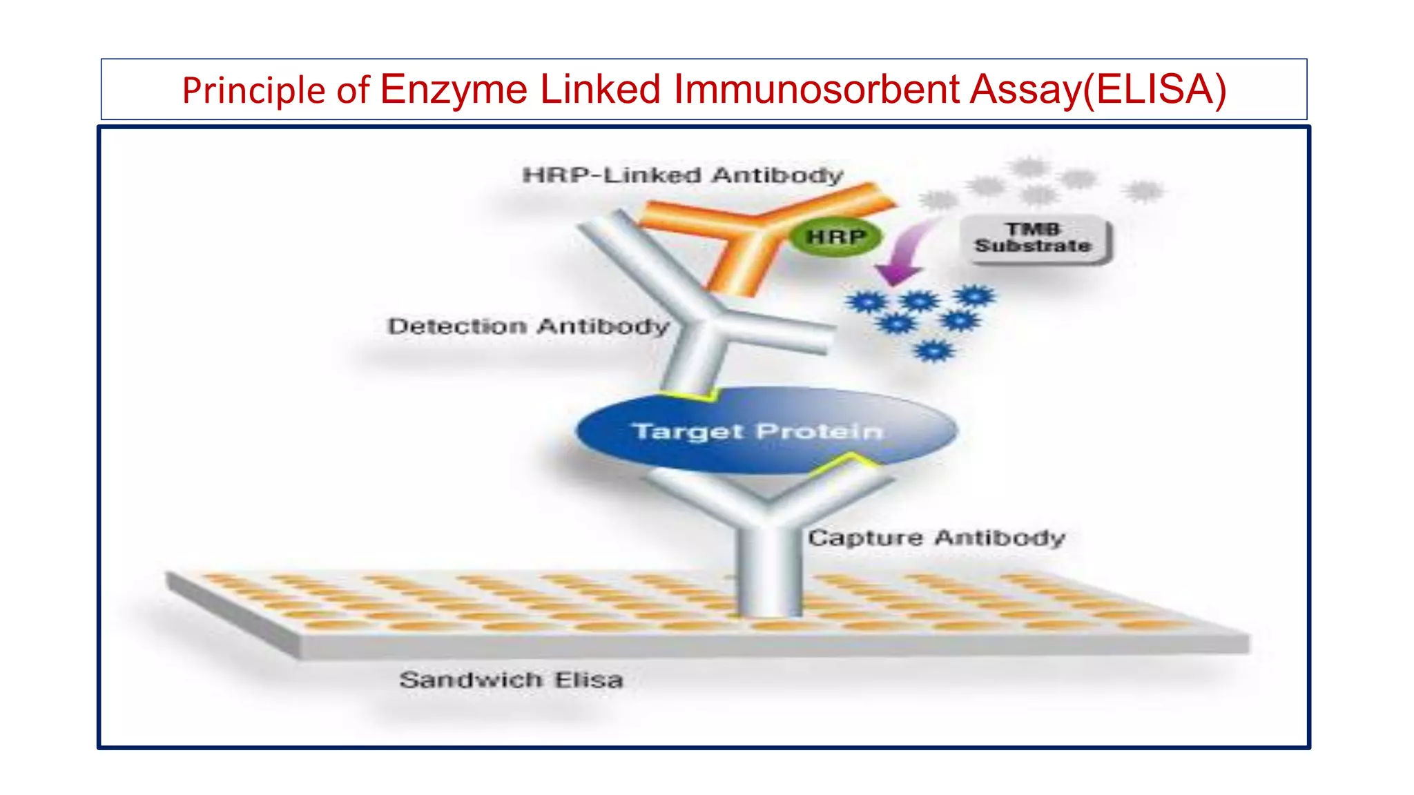 Enzyme linked immunosorbent assay (elisa) and its clinical significance ...
