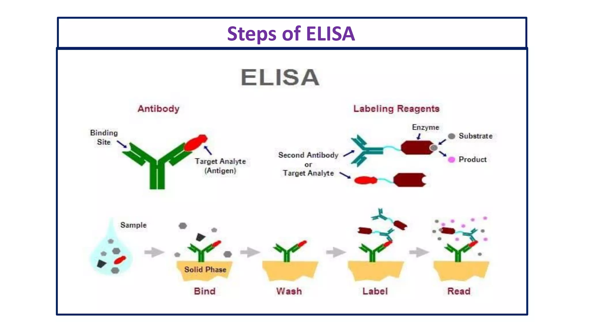 Enzyme Linked Immunosorbent Assay Elisa And Its Clinical Significance