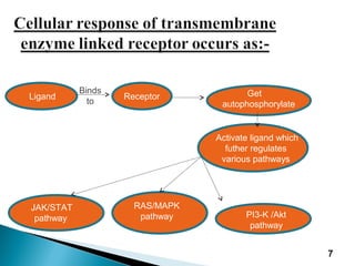 Enzyme linked receptor | PPT