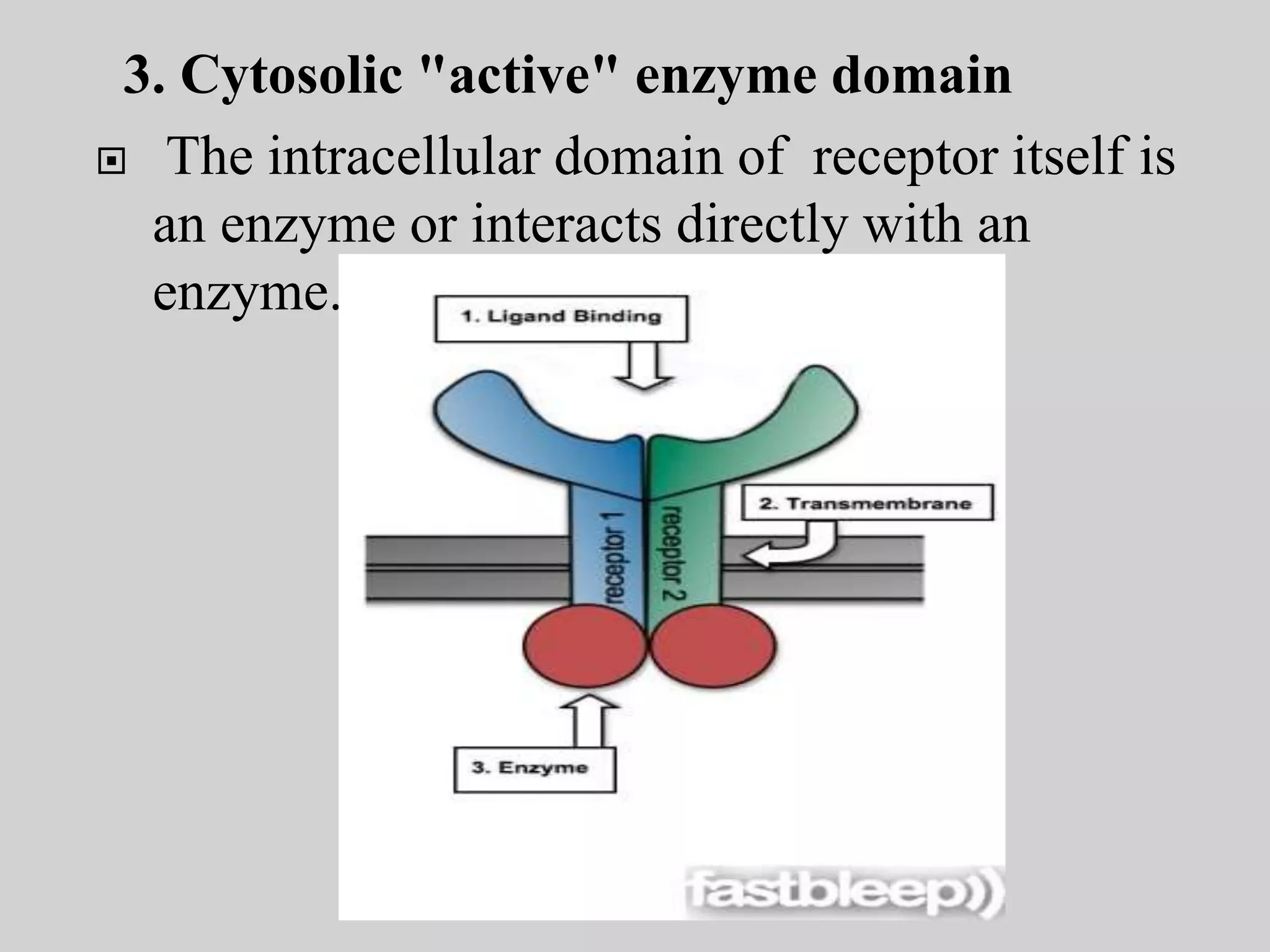 Enzyme linked receptors | PPTX