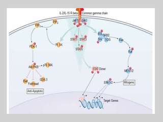 Enzyme linked receptors | PPTX