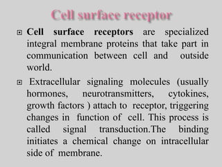 Cell Surface Receptor