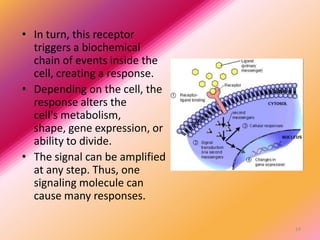 Enzyme linked receptors (1) | PPTX