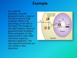 Enzyme linked receptors (1) | PPTX
