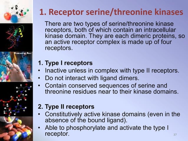 Enzyme linked receptors (1) | PPTX | Endocrine and Metabolic Diseases ...