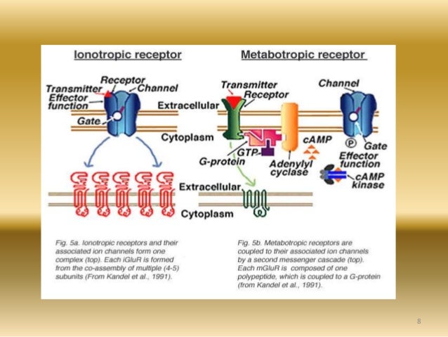 Enzyme linked receptors (1)