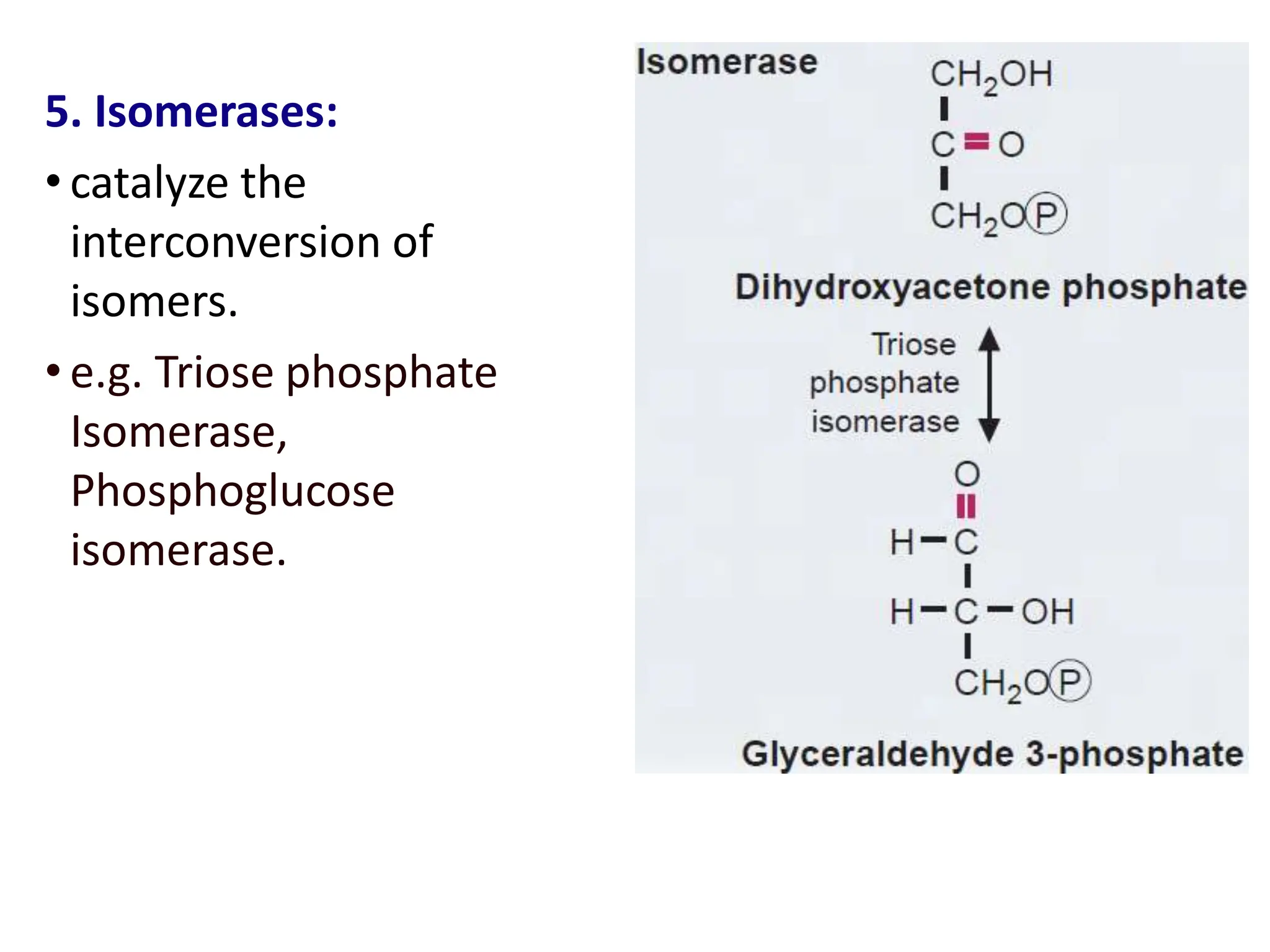 Enzyme notes biochemistry Satyanarayan.pdf