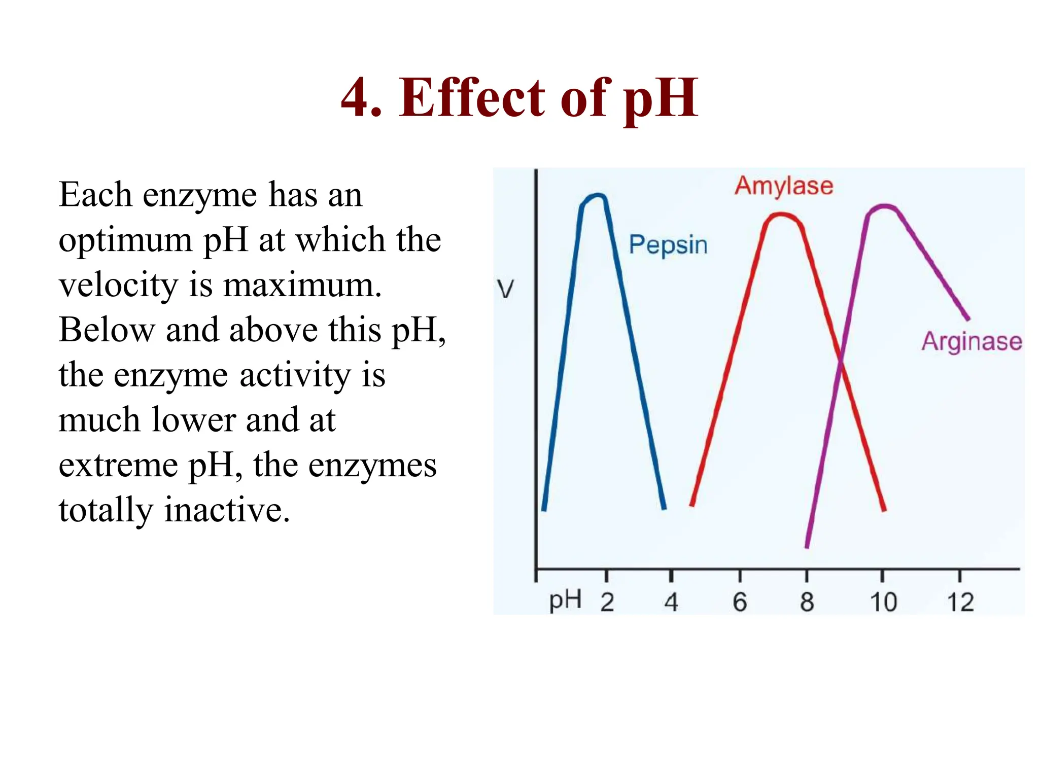 Enzyme notes biochemistry Satyanarayan.pdf
