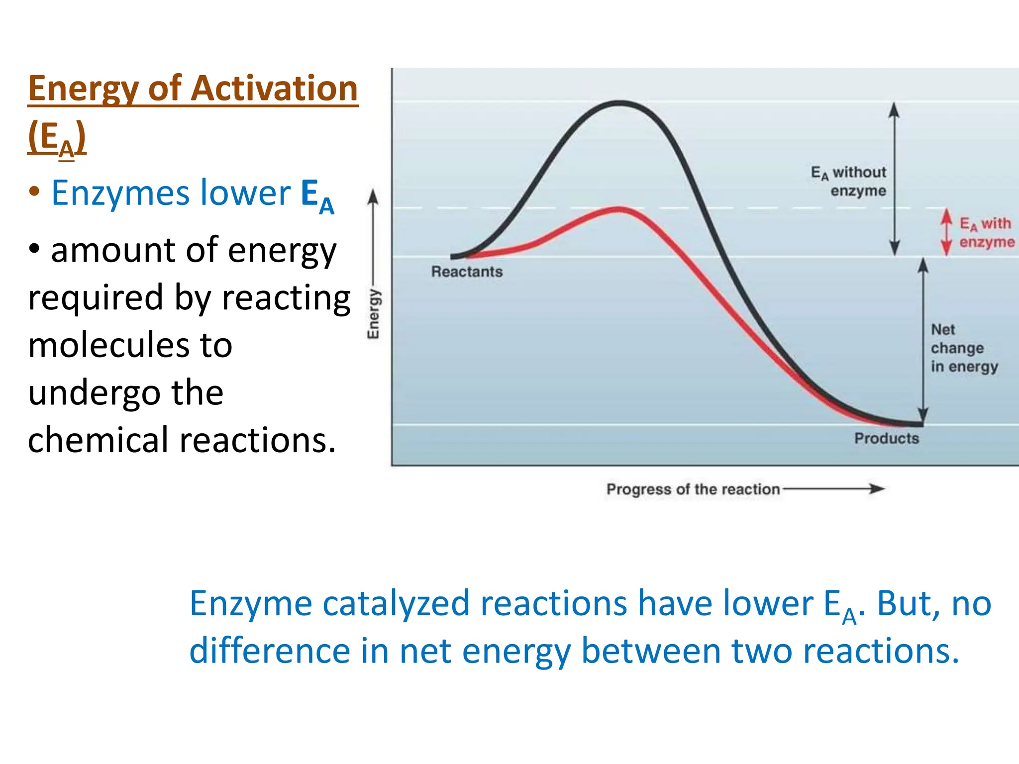 Enzyme notes biochemistry Satyanarayan.pdf