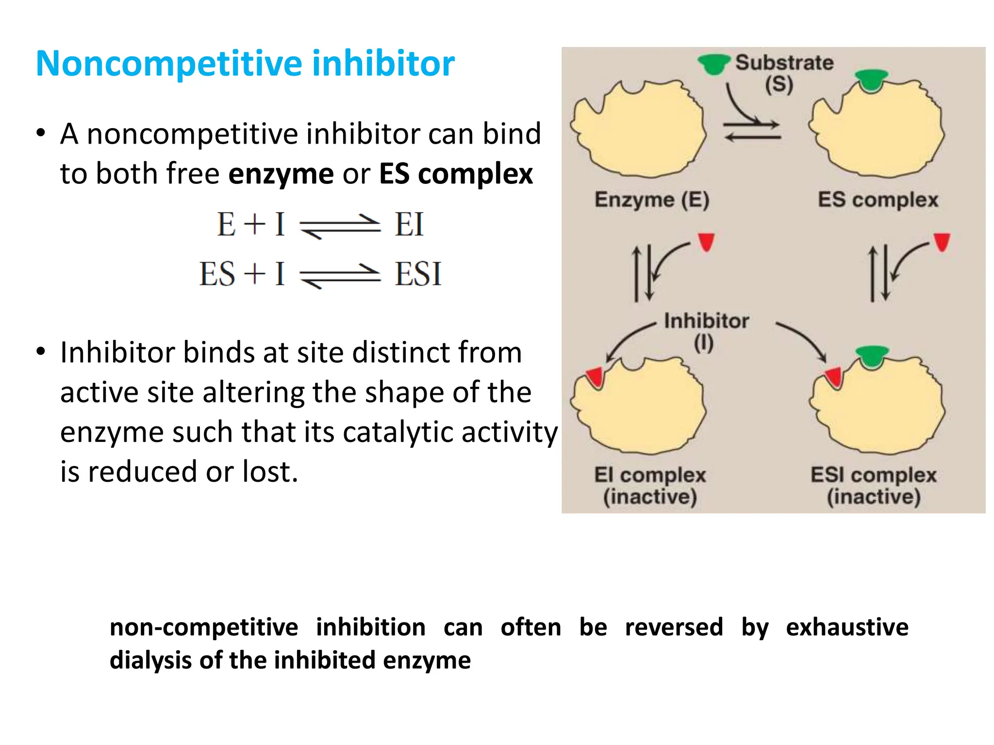 Enzyme notes biochemistry Satyanarayan.pdf