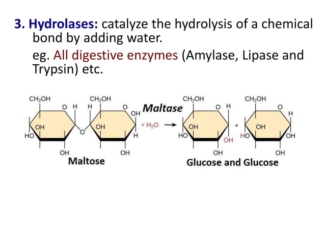 Enzyme notes biochemistry Satyanarayan.pdf | Chemistry | Science