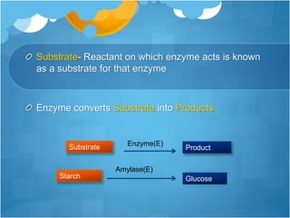 Enzyme mbbs | PPTX