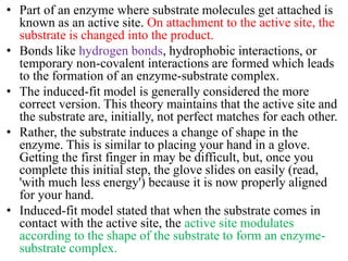 Enzyme mechanism | PDF
