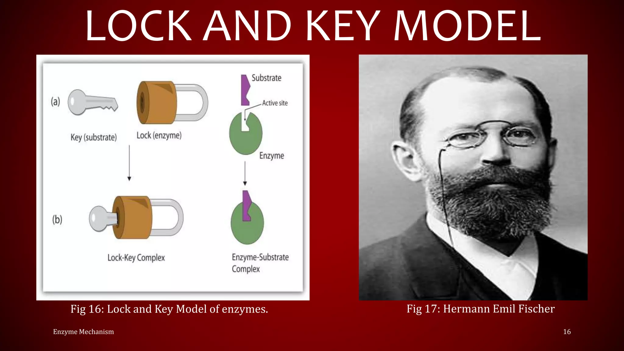 Enzyme Mechanism | PPTX