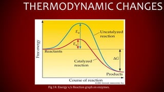 Enzyme Mechanism | PPTX