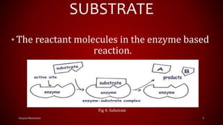 Enzyme Mechanism | PPTX