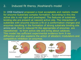 Enzyme mode of action by KK Sahu sir | PPT