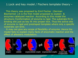 enzyme biochemistry 00000000000000000000 | PPT
