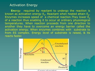 enzyme biochemistry 00000000000000000000 | PPT