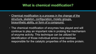 Chemical modification of enzyme to improve physico-chemical properties ...
