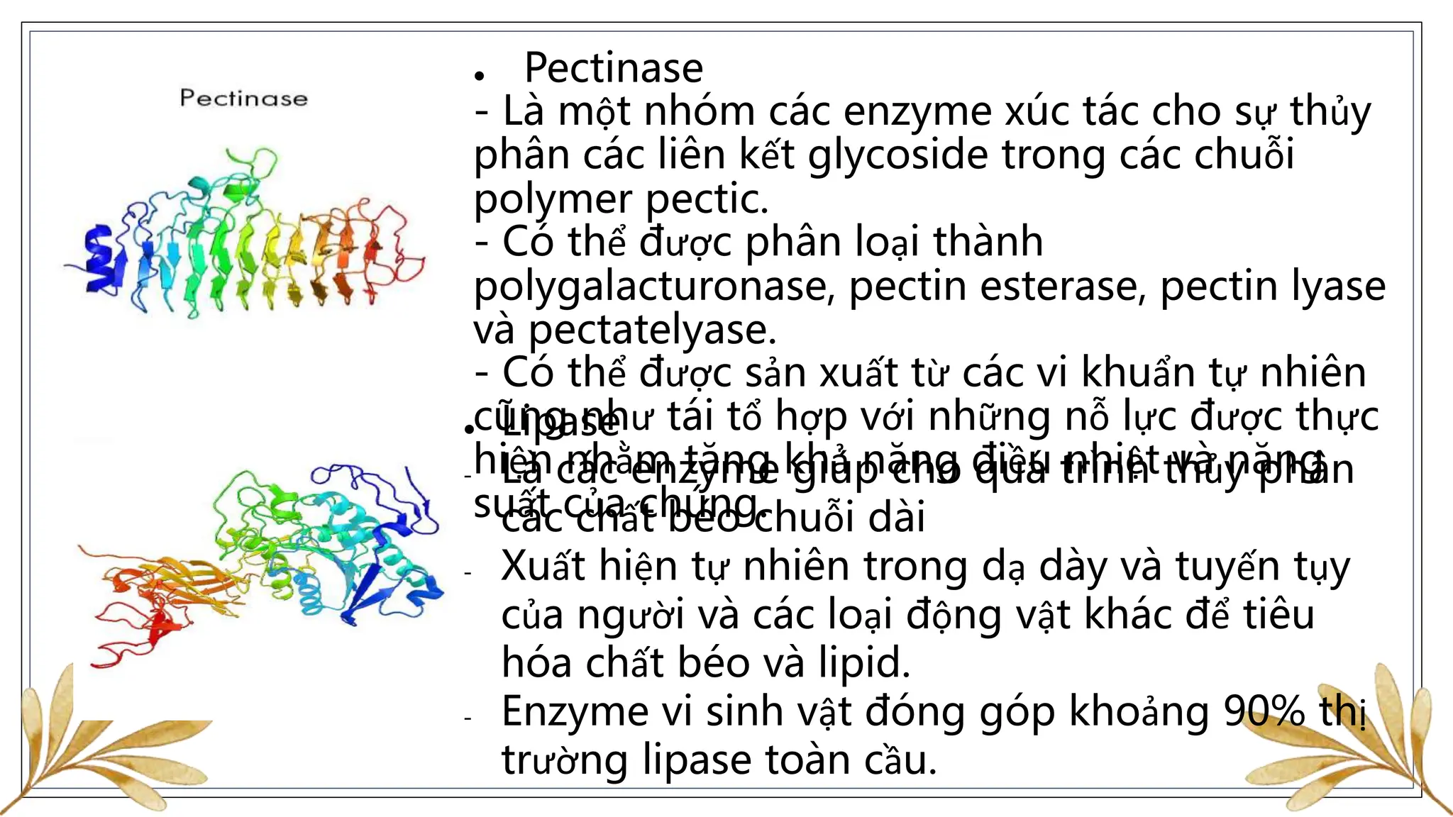 enzyme nhóm 1.pptx