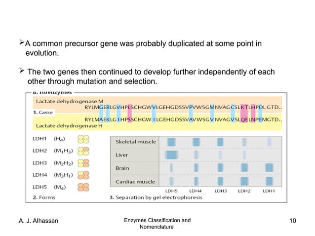 EnzymE nomenclature in enzymology....ppt | Chemistry | Science