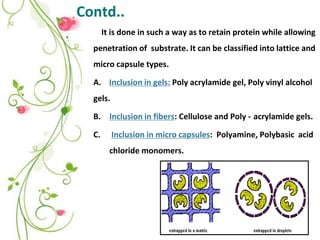 Enzyme of immobilization by kk sahu | PPTX