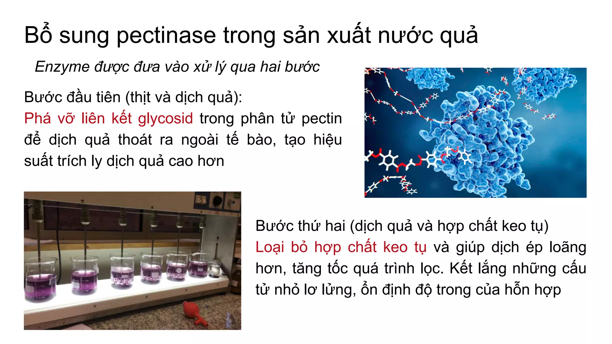 Enzyme pectinase.pptx