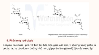 Enzyme pectinase.pptx
