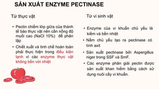 Enzyme pectinase.pptx