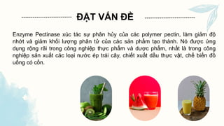 Enzyme pectinase.pptx